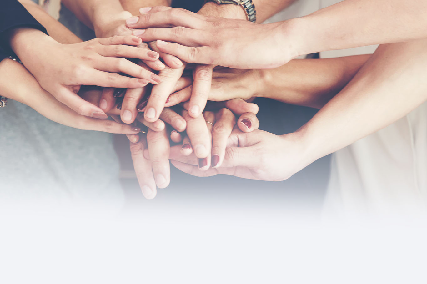 Meraki Tribe Collective | Welcome Portal